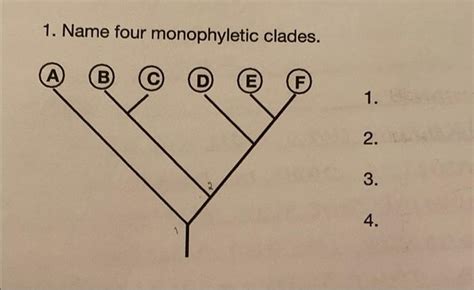 Solved 1 Name Four Monophyletic Clades А B D E F 1 2