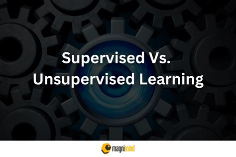 Supervised Vs Unsupervised Learning Understanding The Differences