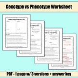 Genotype Vs Phenotype Worksheet By Mckenzie Science Tpt