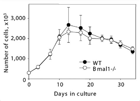 Bmal1 Deficiency Does Not Affect Fibroblast Replicative Senescence In Download Scientific