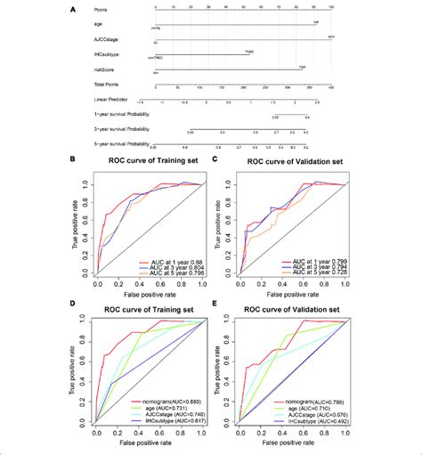 Prediction Model Based On Pyroptosis Associated Lncrna Signature For Download Scientific