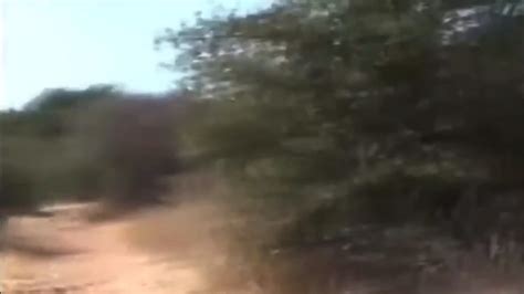 Very Scary Rspitfirefortnite