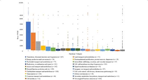 Global Gene Expression By Functional Categories Box Plot Showing The