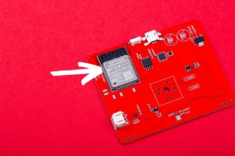 Spencer Anatomy Guide Ch 1