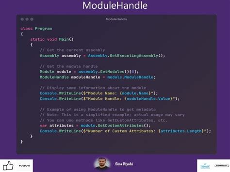 Modulehandle The Modulehandle Struct In Net Core Is By Sina Riyahi