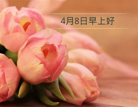 2023最新4月8日早上好图片 4月8日早上好图片大全 配图网