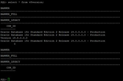 Command To Confirm We Can Connect To The Database And Pull Data Sqlplus Protect Protect Select