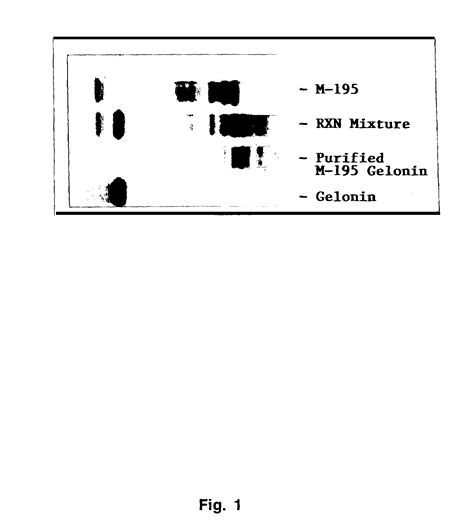 Immunotoxins Directed Against Cd33 Related Surface Antigens Eureka