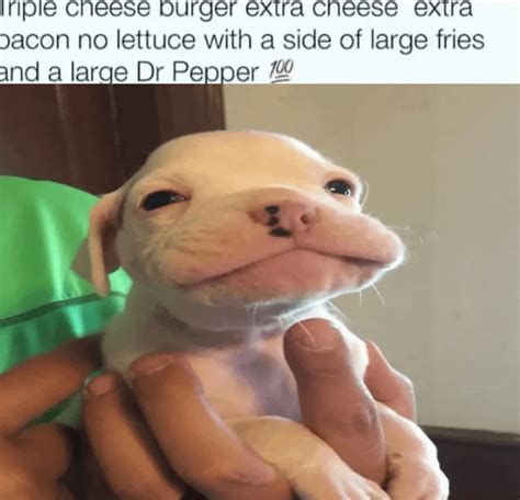 Fnaf Sex 😱😱😱 R P1zz4 M0zzarell4