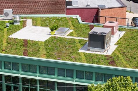 The Pros Of Green Roofing What Are Its Benefits For Home And The