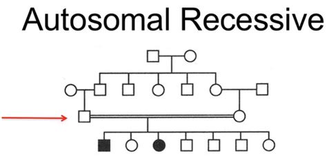 Biochem Block Lecture Flashcards Quizlet