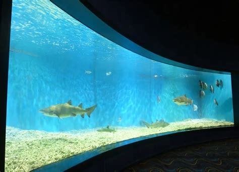 수족관 투명 주조 아크릴 판 프로젝트 중국 수족관 투명 주조 아크릴 판 프로젝트 제조 업체 공급 업체 공장 Suzhou Xiyake Aquarium