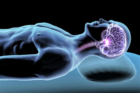 Hormonas La Mente Es Maravillosa