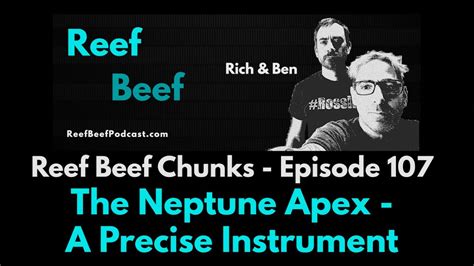 The Neptune Apex A Precise Instrument Reef Beef Chunks Youtube