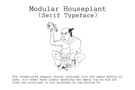 Modular Serif Monospace Font Slab Serif Fonts ~ Creative Market