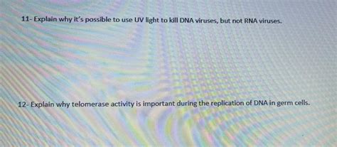 Solved 7 Which Of The Following Is Used By Dna Polymerase