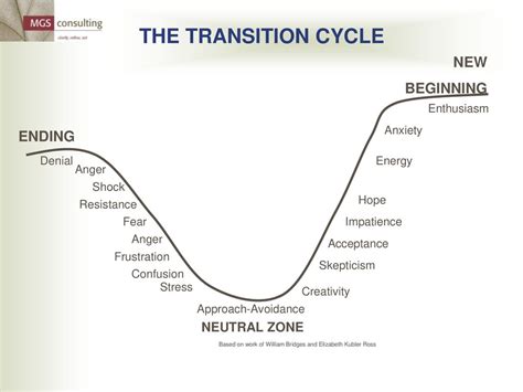 The Complex Process Of Adapting To Reality Ppt Download