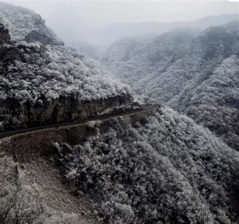 雲台山現霧凇奇觀 晶瑩剔透如仙境 每日頭條