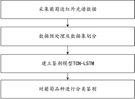 一种基于tcn Lstm模型的近红外光谱葡萄品种鉴别方法