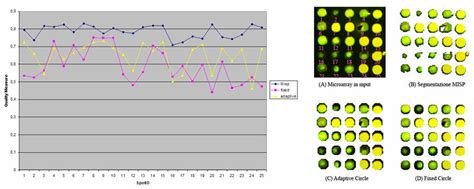 results obtained using different method of segmentation on microarray