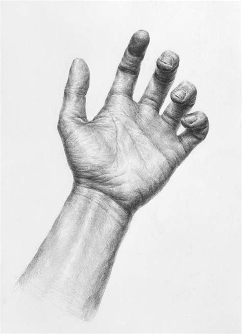 대구화실 미술 회화 정물수채화 정물소묘 인체수채화 인체소묘 입시미술 취미미술 서양화 유화 그림 과정작 자료실 前달동네 그림연구실 Anatomy