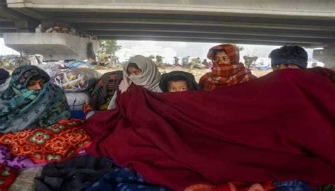 Weather Update Severe Cold To Return In North India Imd Predicts 3 5