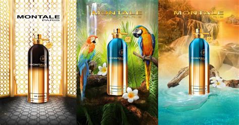 Montale Tropical Wood, Aoud Lagoon, So Amber ~ Niche Perfumery