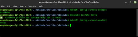 Docker Kubernetes And Minikube On Linux Mint