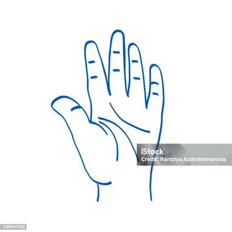 아이 손 제스처 스케치 손가락으로 세는 것 5 또는 안녕하세요 표시 손바닥 검지 가운데 반지 새끼손가락 엄지 5에 대한 스톡 벡터 아트 및 기타 이미지 Istock