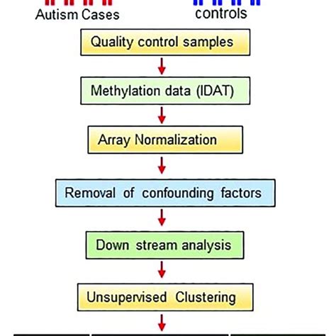 schematic summary of the methylation array data processing and analysis
