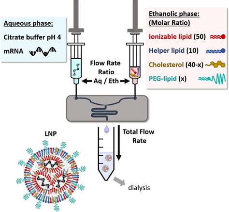 Schematic Representation Of Lipid Nanoparticles Lnps Formulation By Download Scientific