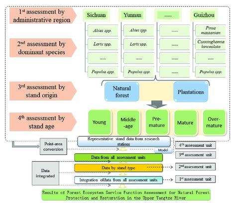 Distributed Measurement Method Of Forest Ecological Services In The Download Scientific Diagram