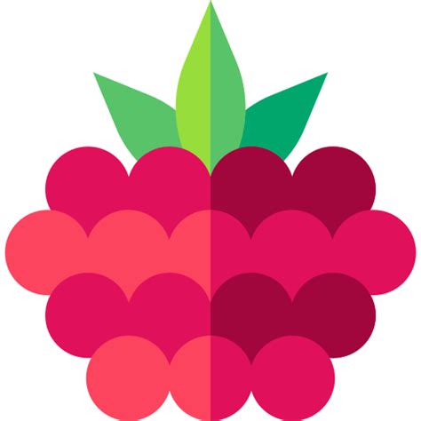 Raspberry Basic Straight Flat Icon