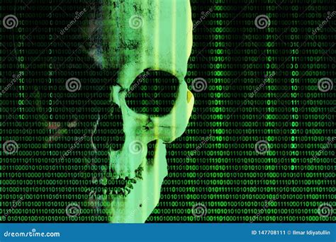 Skull In A Digital Matrix Stock Image Image Of Hacker 147708111