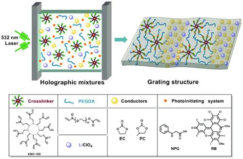 Holographic Photopolymerization Strategy For Fabricating Polymer