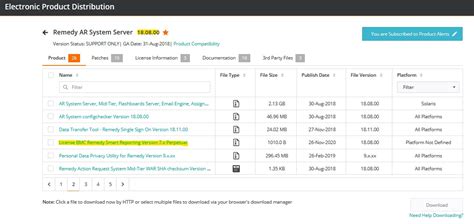 remedy smart reporting how to add new license includes video