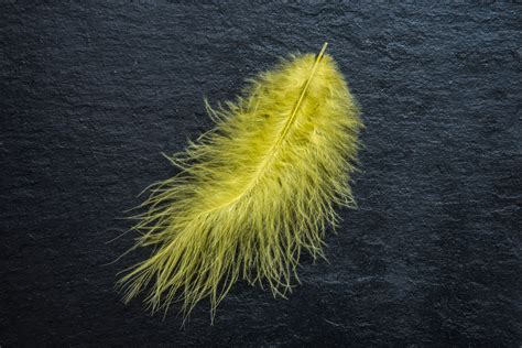 What Does A Yellow Feather Symbolize At Kevin Carnahan Blog