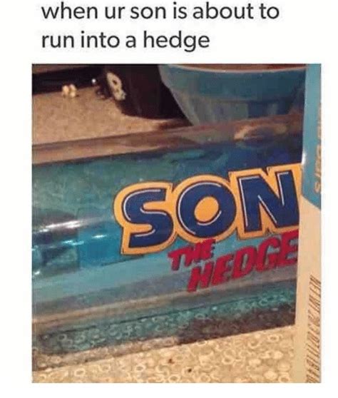 The Best Son Memes Memedroid