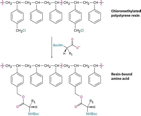 26 8 Automated Peptide Synthesis The Merrifield Solid Phase Method
