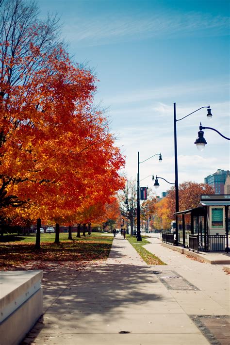 Campus Is Beautiful R Uiuc