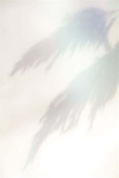 유토이미지 컬러풀한 식물 그림자 배경표지 이미지