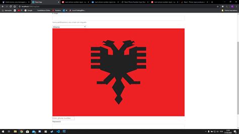 Javascript React Phone Input Produces A Huge Flag Stack Overflow