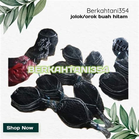 Jual Jolok Buah Hitam Bahan Tebal Orok Buah Jaring Buah Alat Pemetik