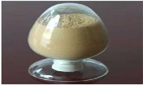 Papain Crude Powder At Best Price In Surat Id 4342153 Brisk Bioscience