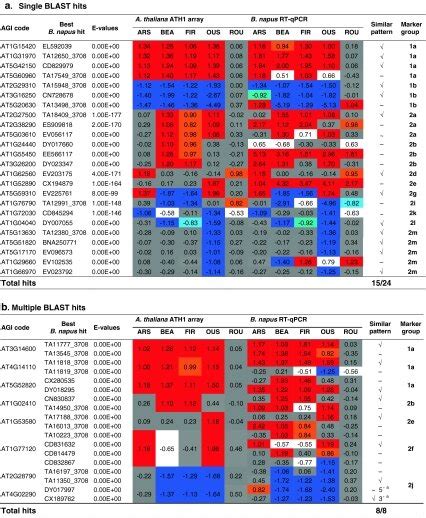 Comparative Expression Analyses Of A Thaliana Marker Genes And B
