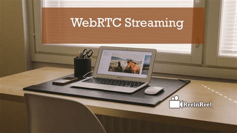 Webrtc Streaming Ultimate Guide To Webrtc Server Software For Live Streaming Reelnreel