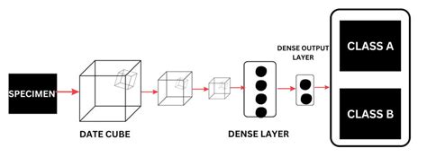 Generic 3d Cnn Process Flow Download Scientific Diagram