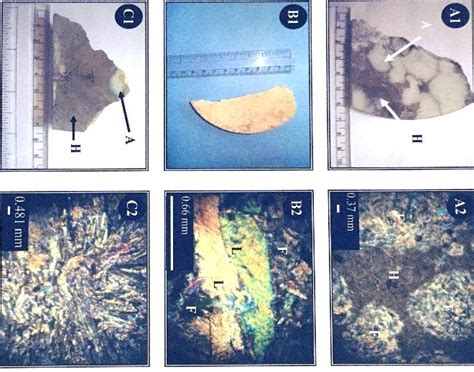 A1 Nodular Anhydrite A With Interstitial Carbonates Rich In Download Scientific Diagram