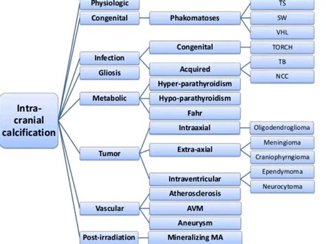 Physiological And Pathological Calcification Of Brain Ppt