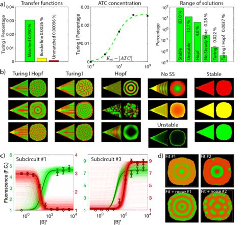 Modelling Genetic Circuit With Growth A Turing Pattern Robustness